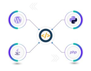 Custom Website Development Company | Hire Web Developers